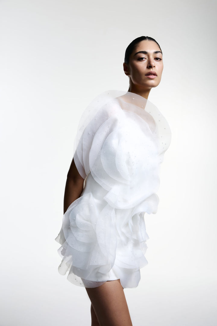 Women's Australian Designer Dresses | For Every Occasion – Acler